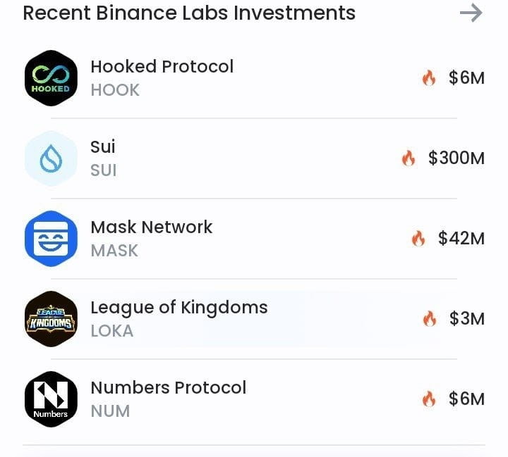 These are few projects that were invested on by Binance Labs | ENSIGN ...
