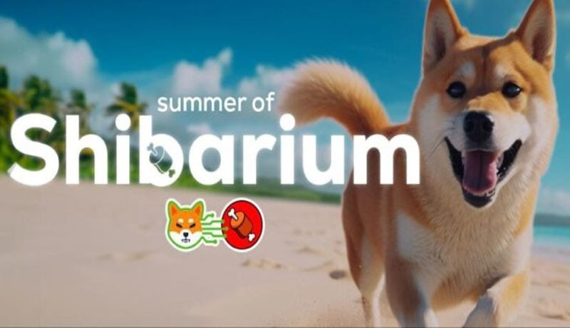 Shibarium summer has begun: a new era for the SHIB token! Me ...