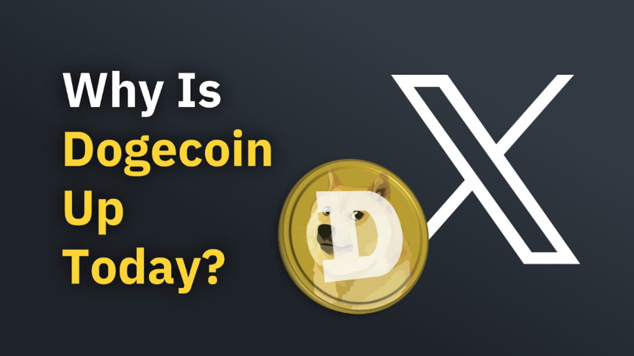 Why Is Dogecoin Up Today? | Coinovation on Binance Square