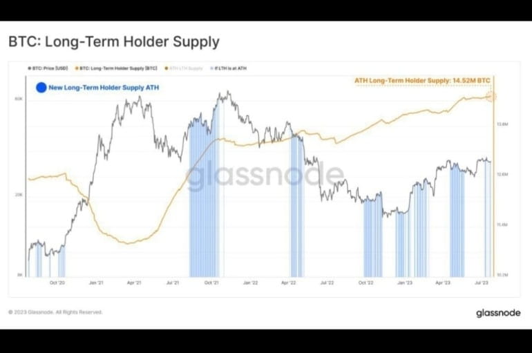 #bitcoin wallets with a history of HODLING hold about 75% of | Crypto ...