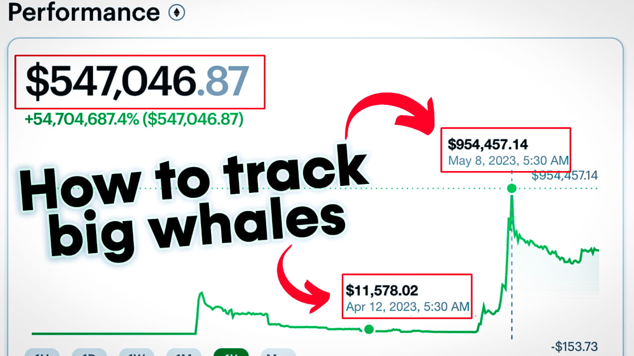 How to Track Crypto Whales wallets to make profits before others ...