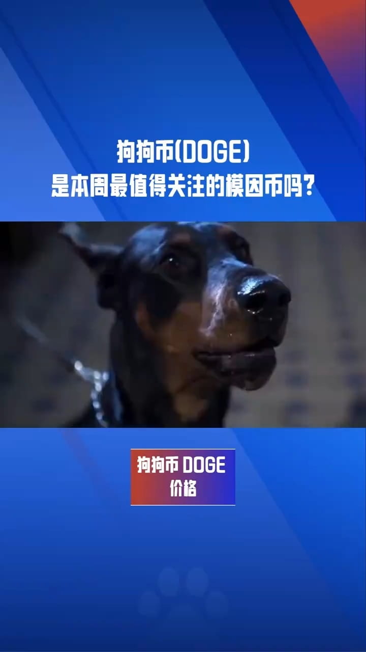 Is Dogecoin (DOGE) the most noteworthy meme coin of the week? | 韭菜救星7 ...