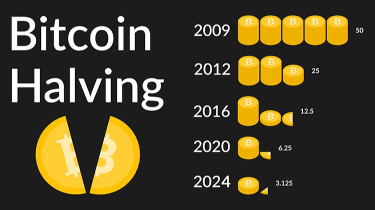 Bitcoin Price Predictions and the Anticipation of the Fourth Halving ...
