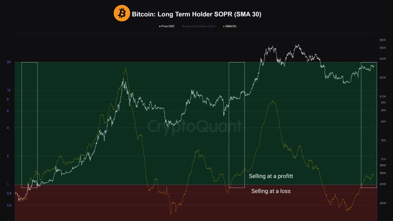 Profit Signals: How LTH SOPR & STH SOPR Shape Bitcoin Market | Official ...