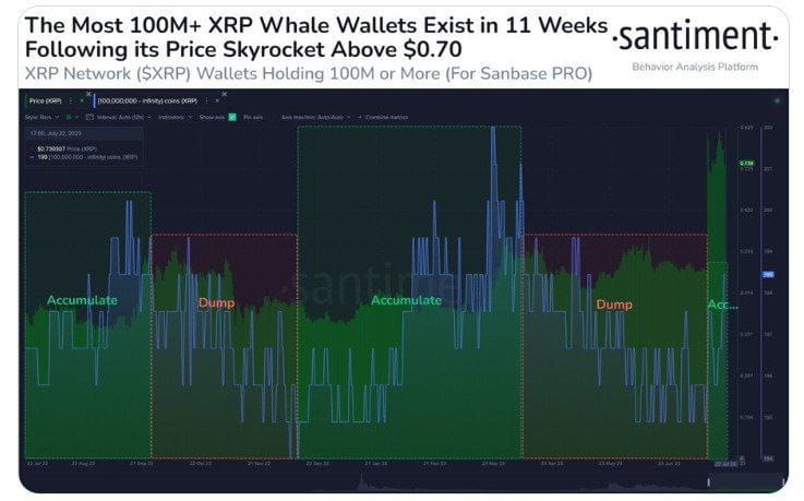 Number of large XRP whales reaches 11-week high 🔥 They hav | Kripto ...