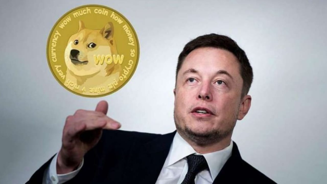 Dogecoin and ShibaInu Don’t Know What’s Coming: New Coin Doge Uprising ...