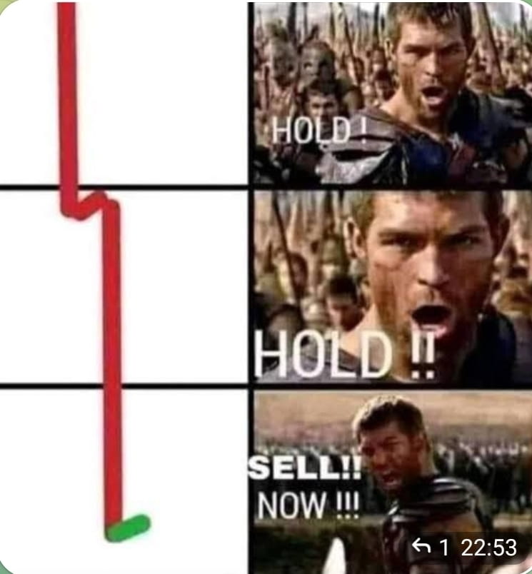 meme time guys, what coins are you holding? | Forum Crypto Indonesia on ...