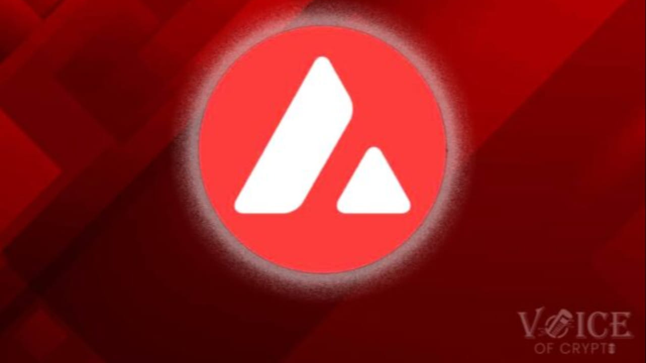 Avalanche Foundation’s $50M Asset Tokenization Scheme And Its Effects on AVAX | Voice Of Crypto ...