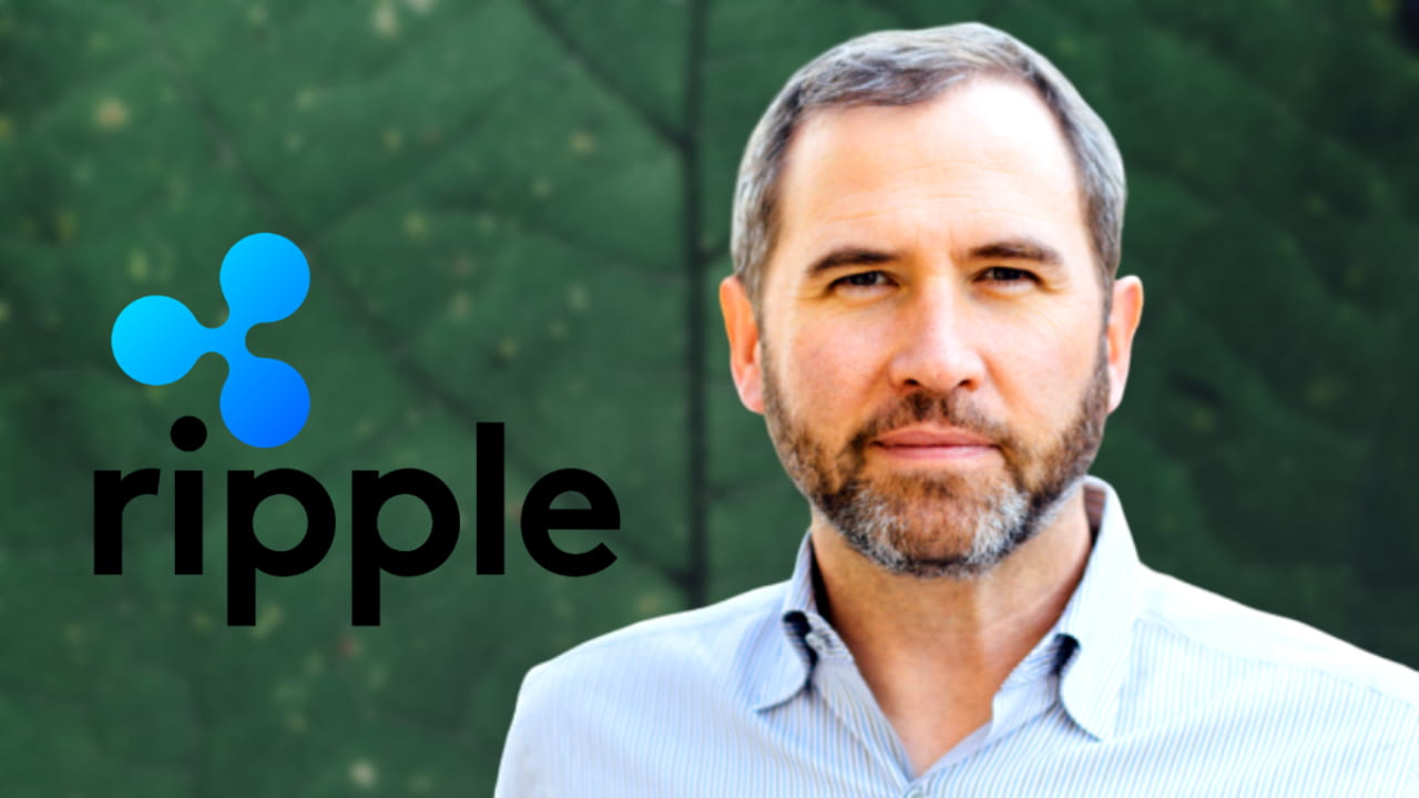 Ripple CEO Criticizes SEC for Harming Retail Investors! | davut1karabulut on Binance Square