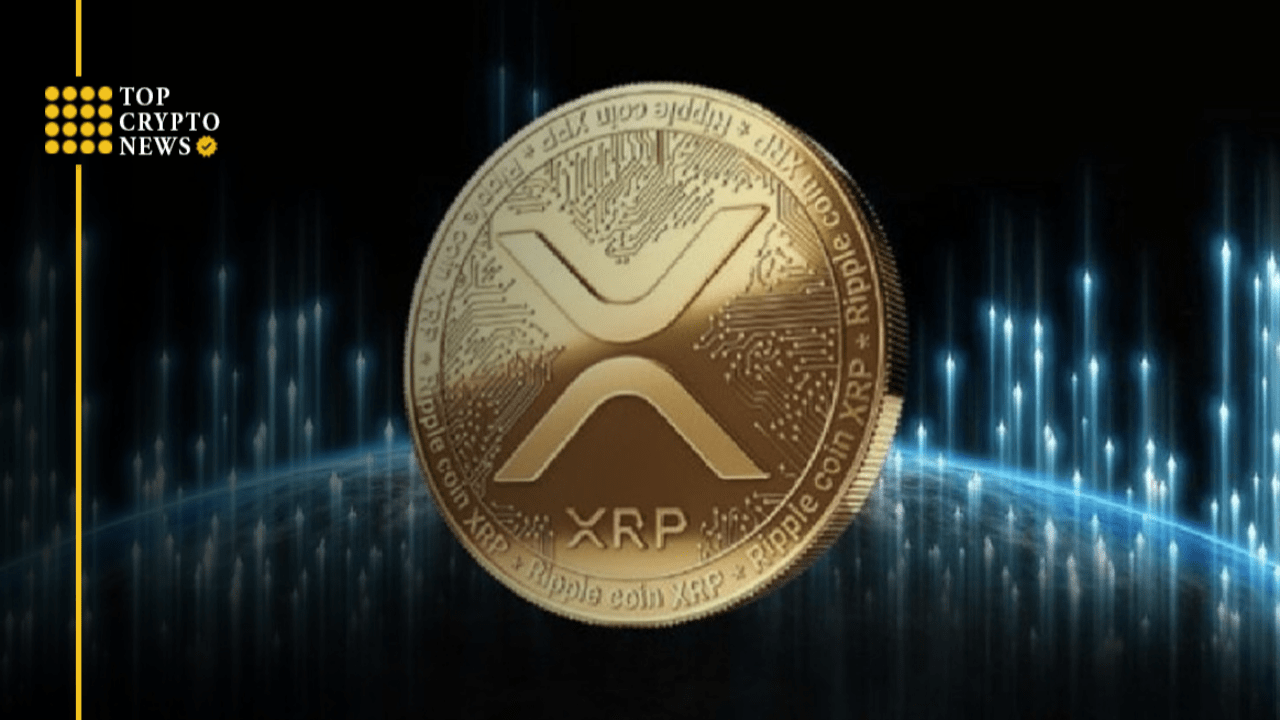 XRP Facing Bear vs Bull Showdown; Who Will Win | TopCryptoNews on ...