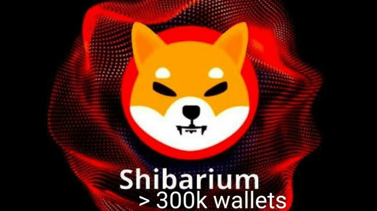 Shibarium pass 300k wallets, SHIB looks Promising 🐶 | BoringNetizen on ...