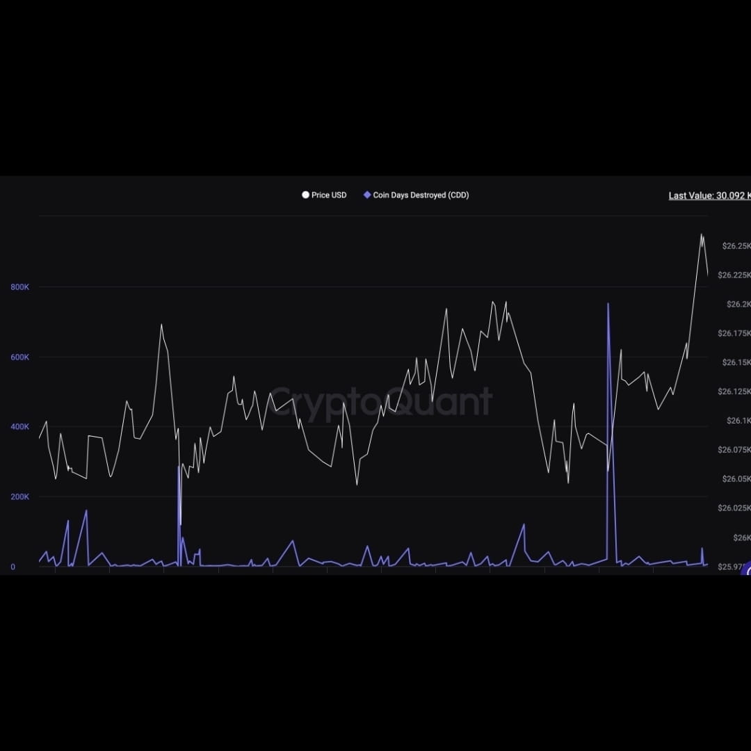 A large amount of CDD data has arrived. When CDD data | Yapay Zeka AI ...