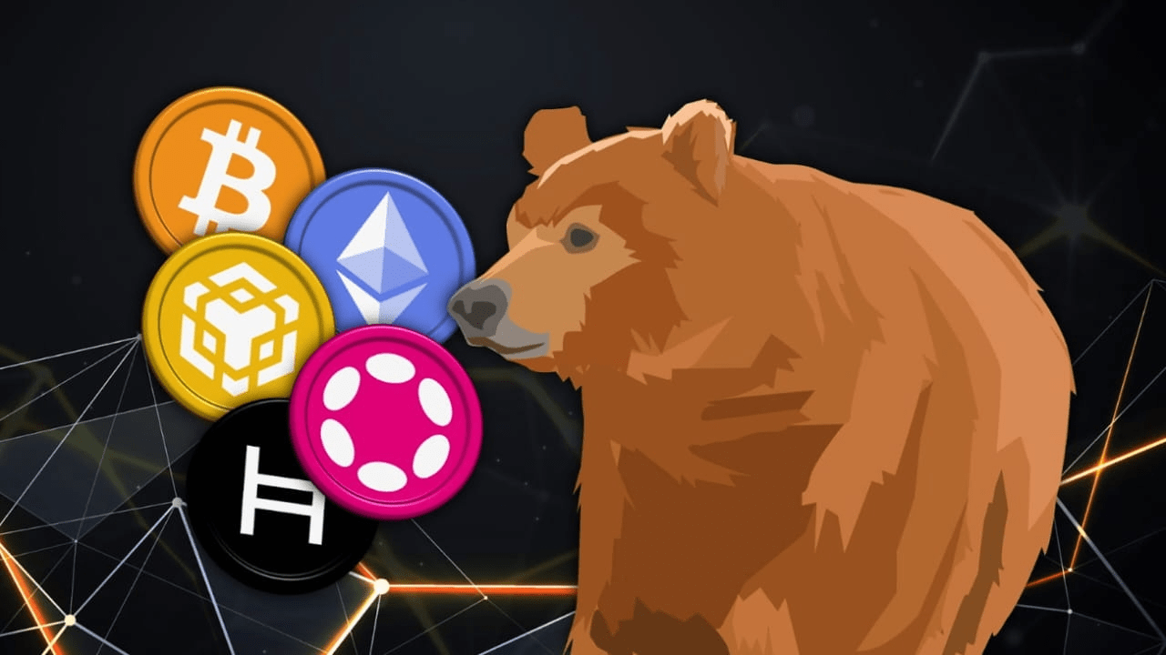 Comparing how Popular Projects are holding up over the Bear Market ...