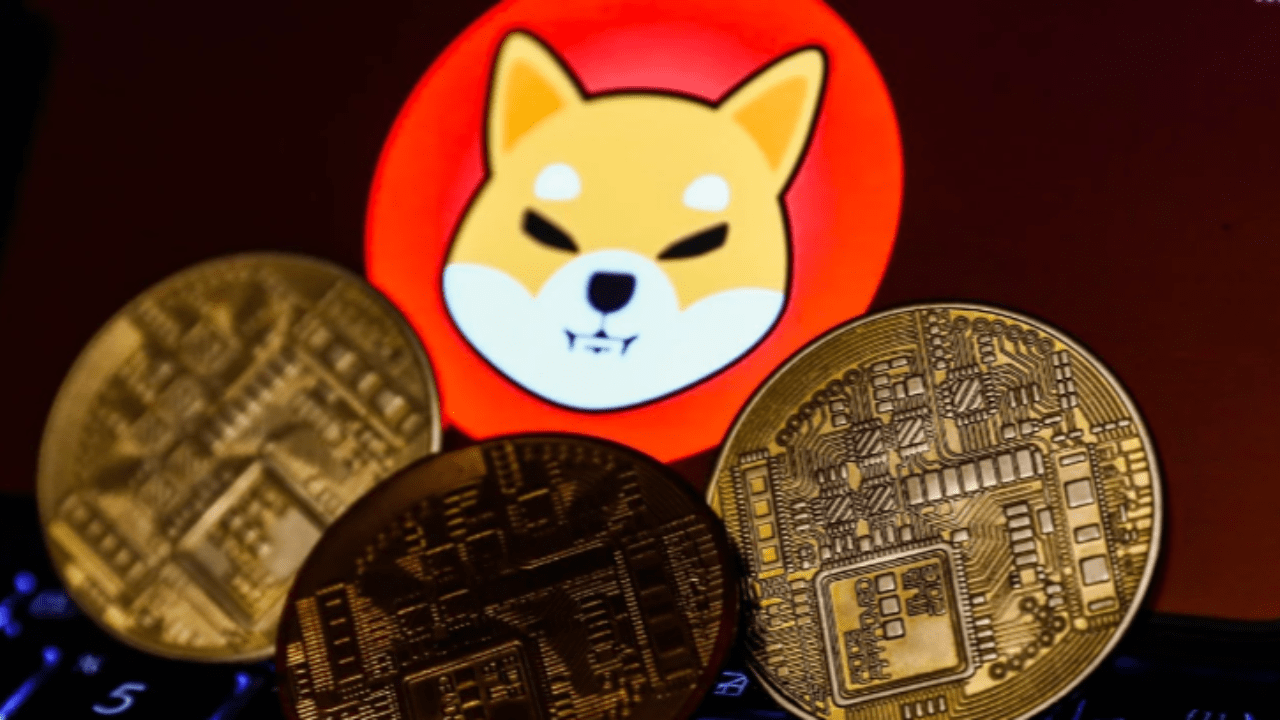 Coins in the Shiba Inu (SHIB) ecosystem are on the rise | Testnetnodes ...