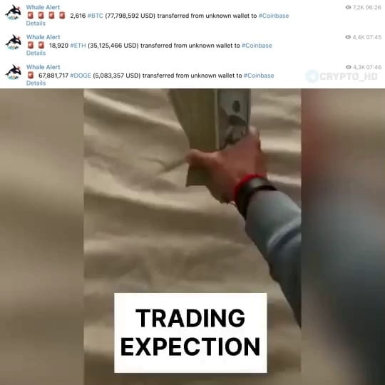 Trading reality💵 | QYZMET on Binance Square