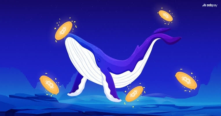 The Whale Who Spent 13 Million Dollars to Buy 17 Altcoins is | BoringNetizen on Binance Square