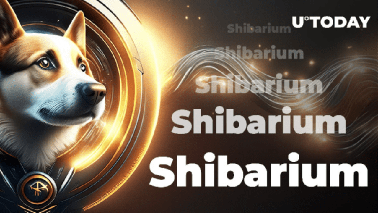 Shibarium Basic Design Explained by SHIB Team Member: Details ...