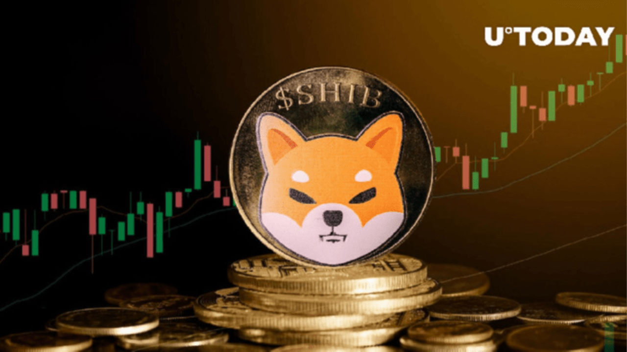 Shiba Inu (SHIB) Inflows See Jaw-dropping 2,200% Spike, Here's Why | TopCryptoNews on Binance Square
