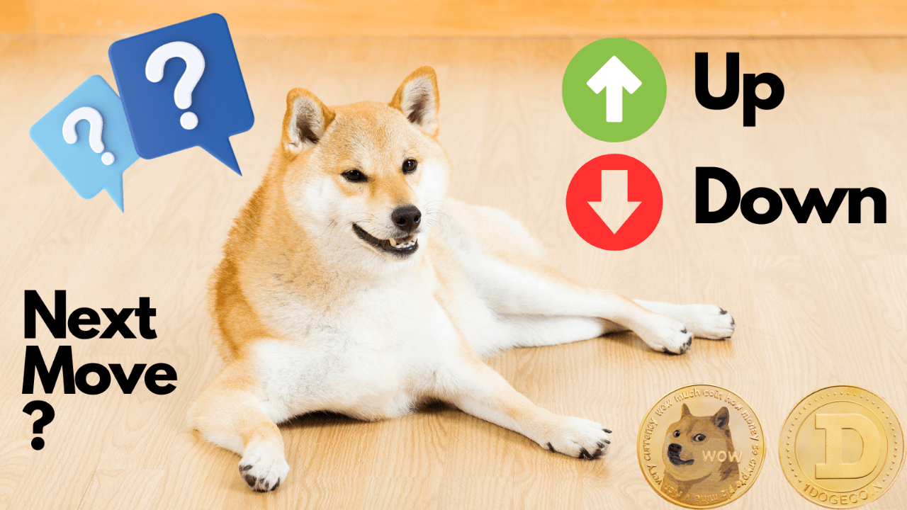 The Next Move for the Shiba Inu (SHIB)? | ilker Yıldız on Binance Square