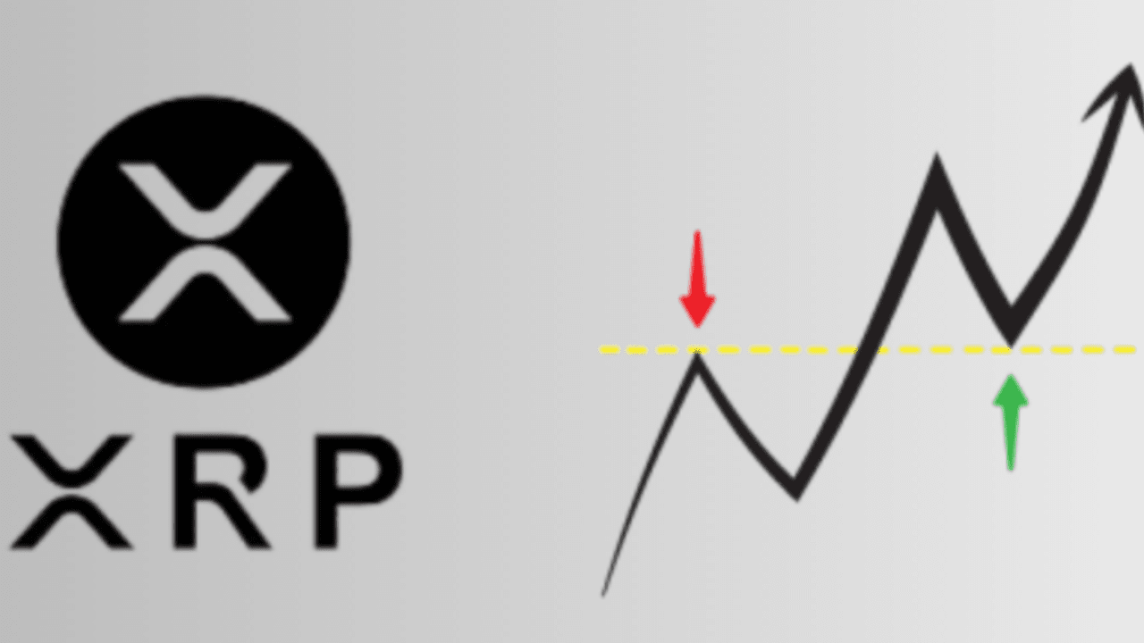 Sec Case Over But Bull Run Missing? XRP Holders Wonder Where The Gains ...