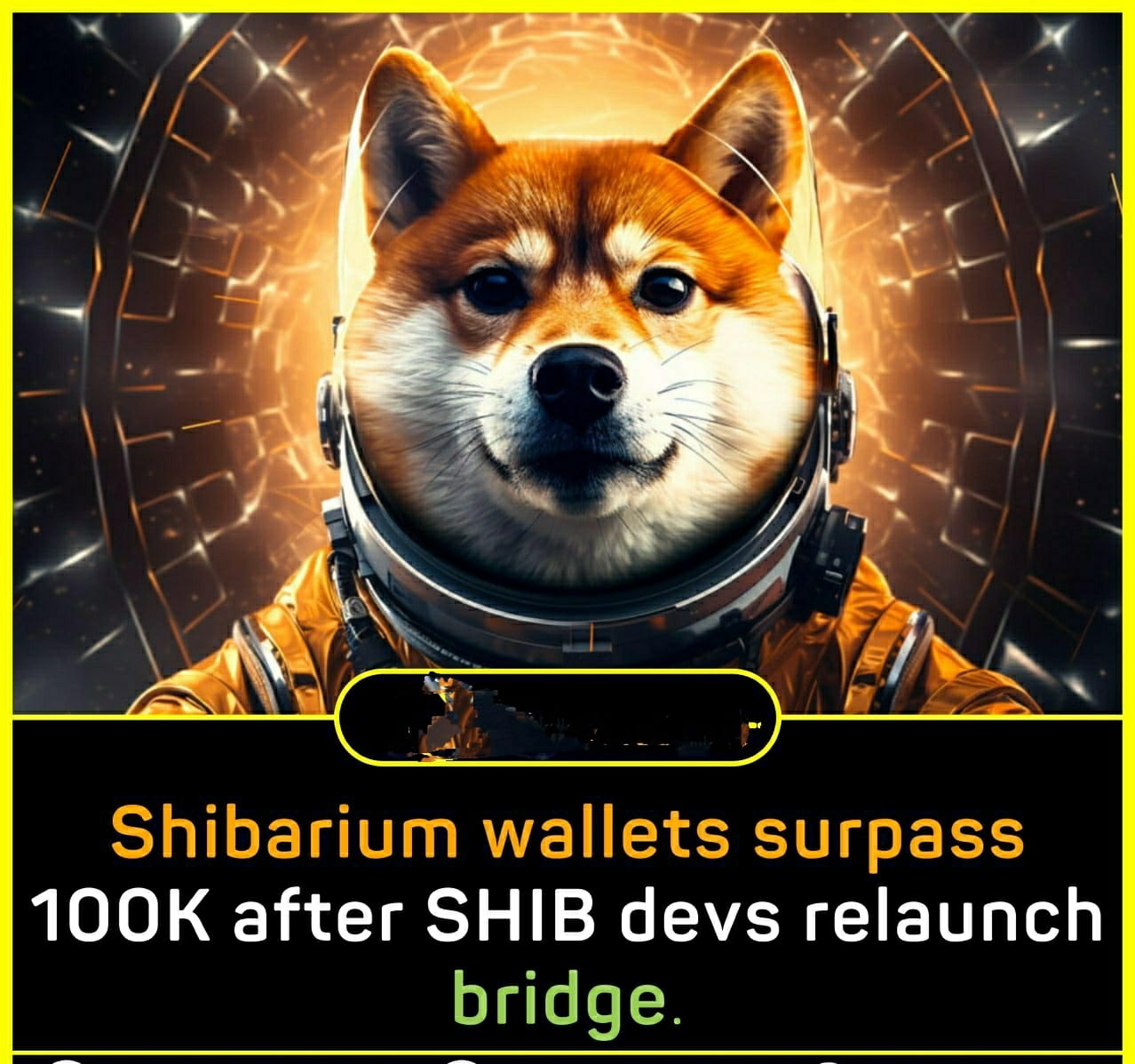 📣Shibarium wallets surpass 100K after SHIB devs relaunch br | Muhammad ...