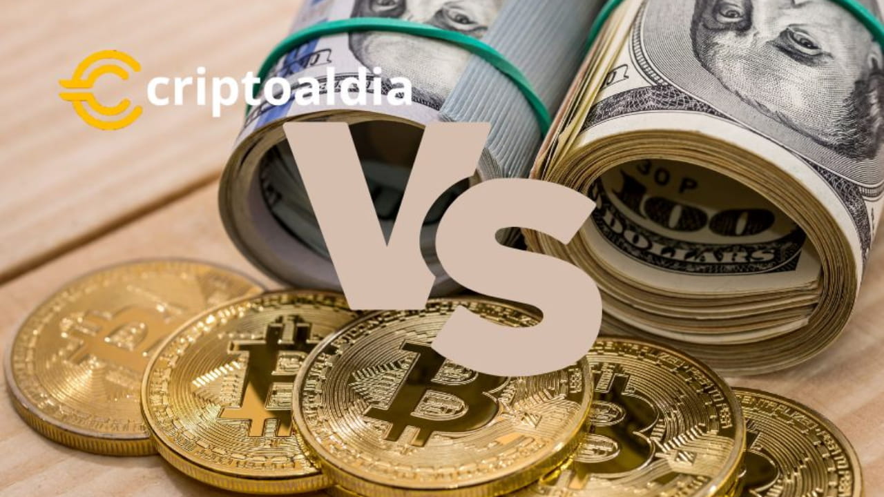 "Revealing Bitcoin's True Rival: Ammous, Author of 'The Bitcoin Pattern ...