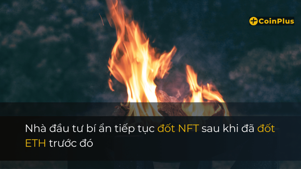 Таинственный инвестор продолжает сжигать NFT после того, как ранее сжег ETH | Coinplus-news на ...