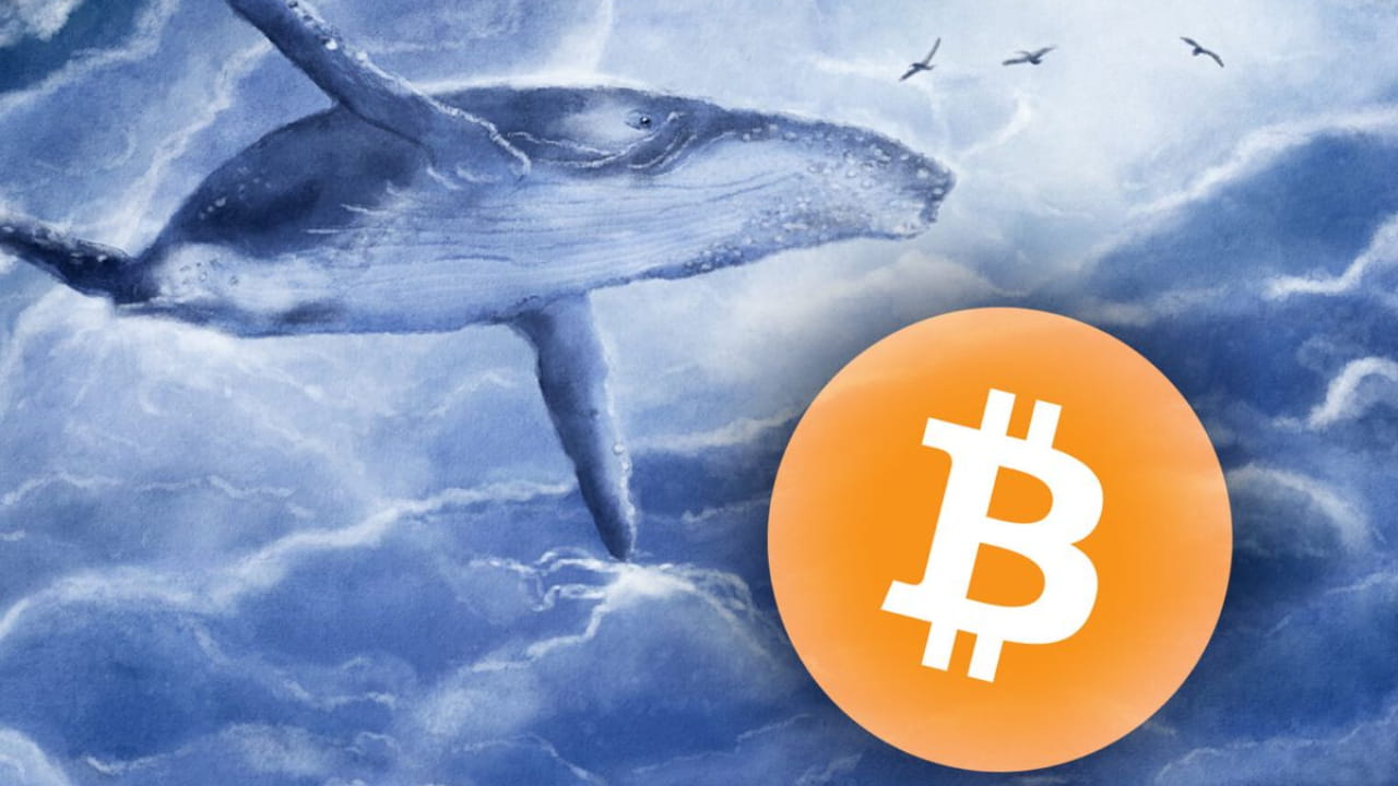 Crypto Whale Ratio Hits All-Time Low – What Does This Mean For Bitcoin Investors? | AZCoinNews ...