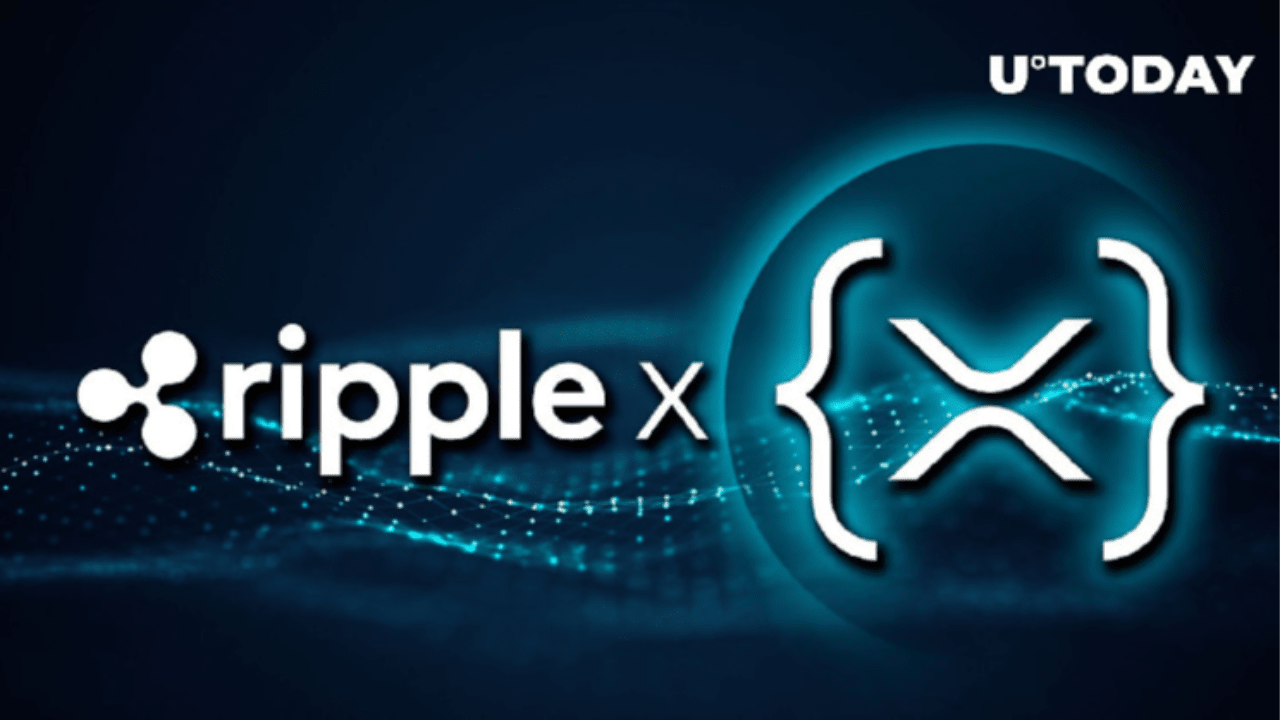 RippleX Shares Impressive Update on XRP Ledger DeFi AMM | TopCryptoNews ...