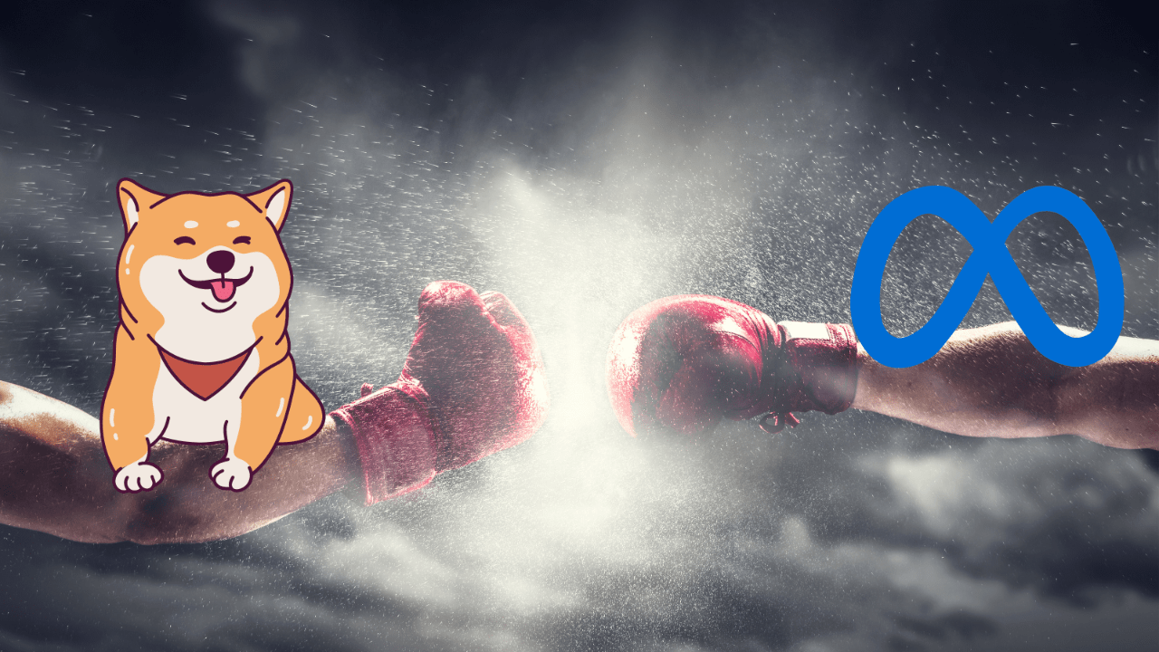 How Will the Elon Musk & Zuck Fight Affect Doge Coin? | ilker Yıldız on ...