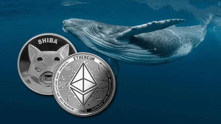 Ethereum Whales Flock To This Meme Coin: A Wallet Received 4.15 ...