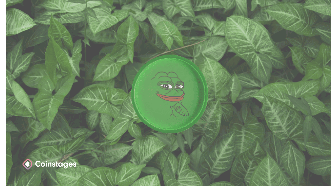 Pepe Team Members Transfer 16 Million Dollars Worth of Tokens and Cause ...