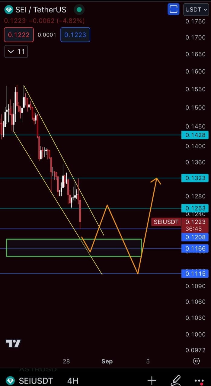 long Sei/Usdt entry: .1198$ Target 1: .1250$ Target 2: . | Sam_Crypto_Billionaire on Binance Square
