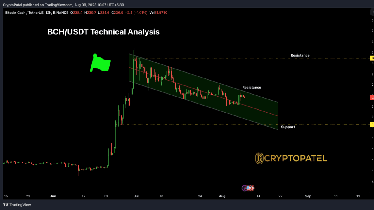 BCH/USDT Bull Flag Technical Analysis - Potential Breakout Ahead | Official CryptoPatel on ...