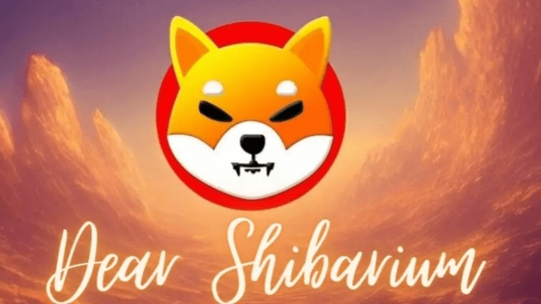 Shiba Inu Price Drop after Shibarium Launch | Mastering Crypto on Binance Square