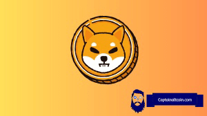 Why Did Shiba Inu (SHIB) Price Drop After the Shibarium Launch? Long-Term Predictions Remain ...