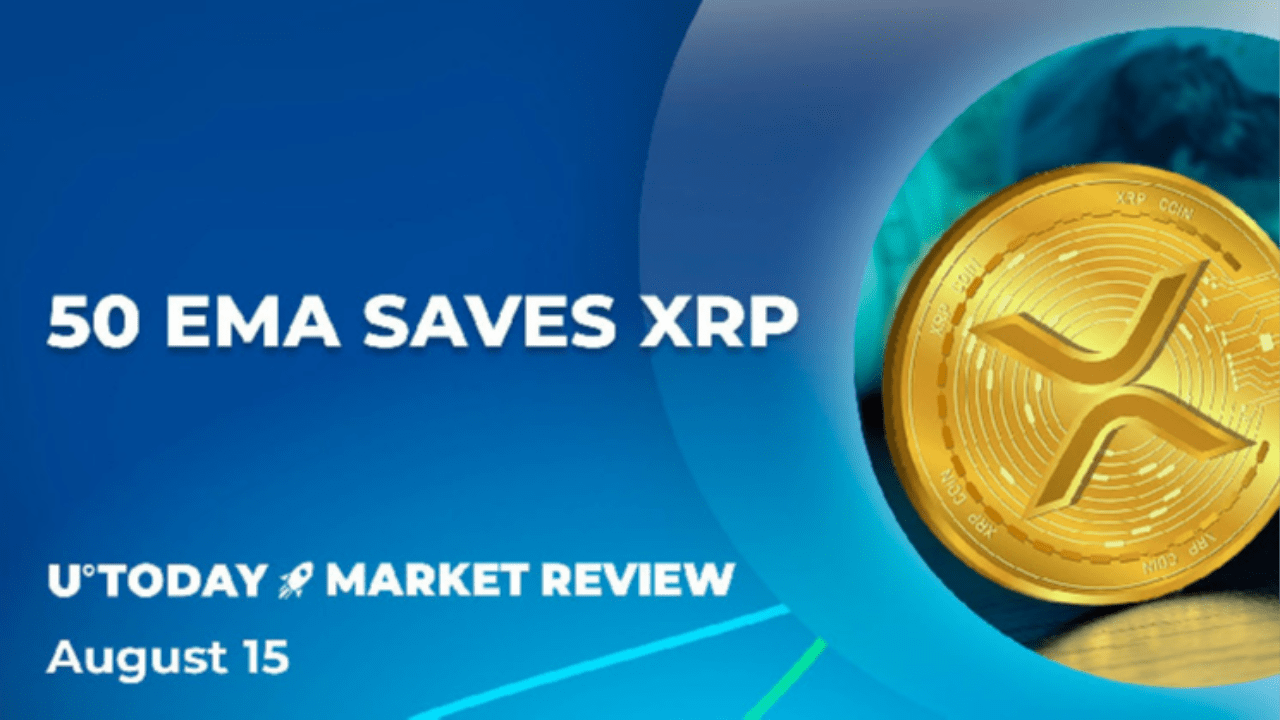 XRP's 50 EMA Support Level Successfully Holds Up | TopCryptoNews on Binance Square