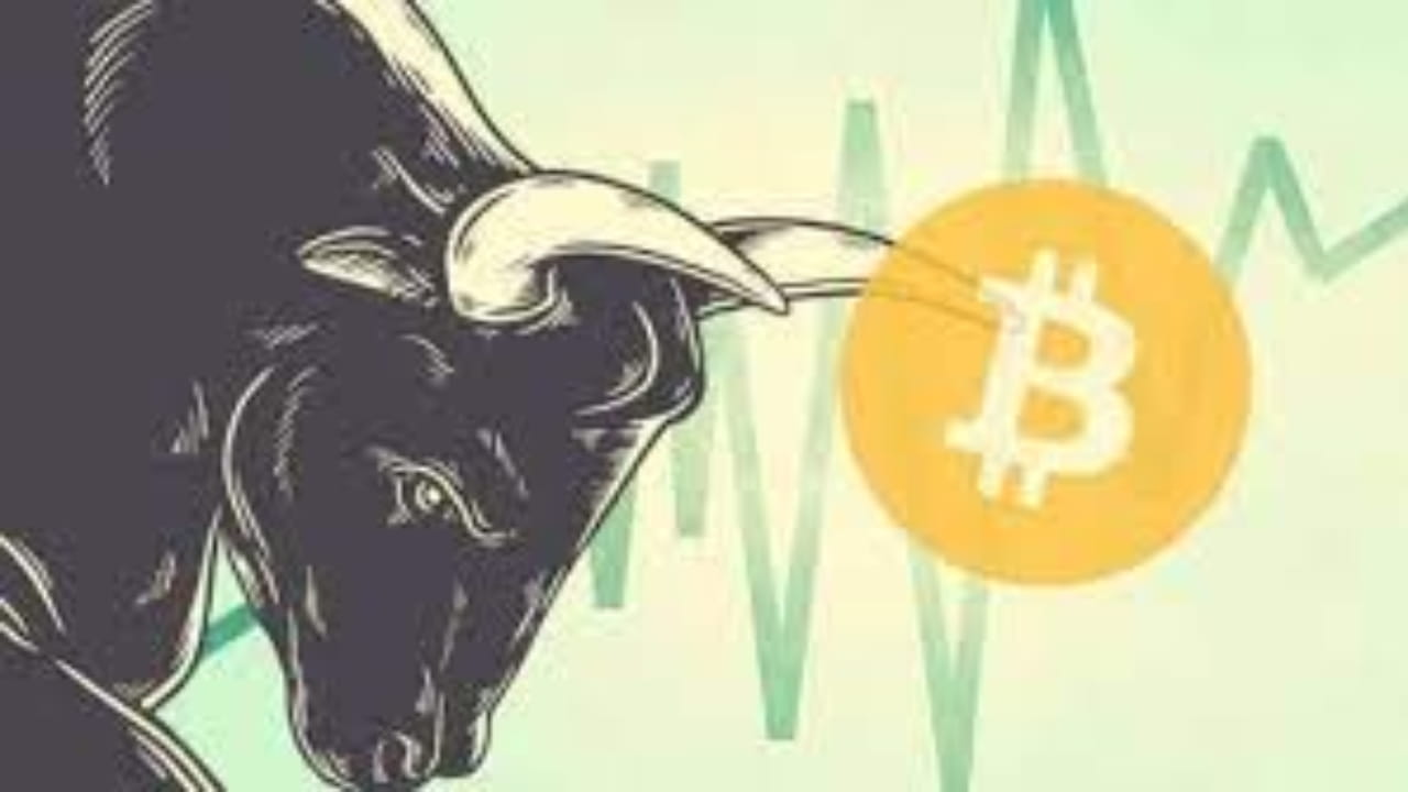 As the next bull market comes, which sectors are worth paying attention ...