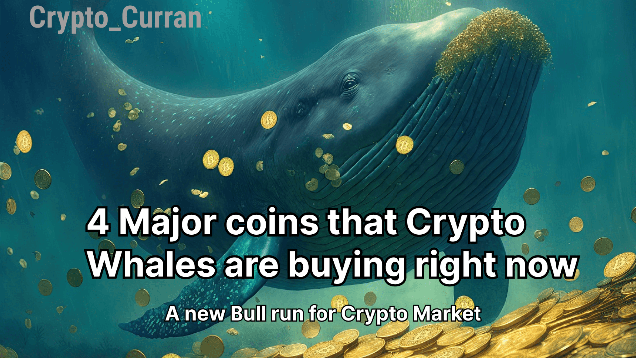 Here are the 4 Major coins that Crypto Whales are buying right now ...