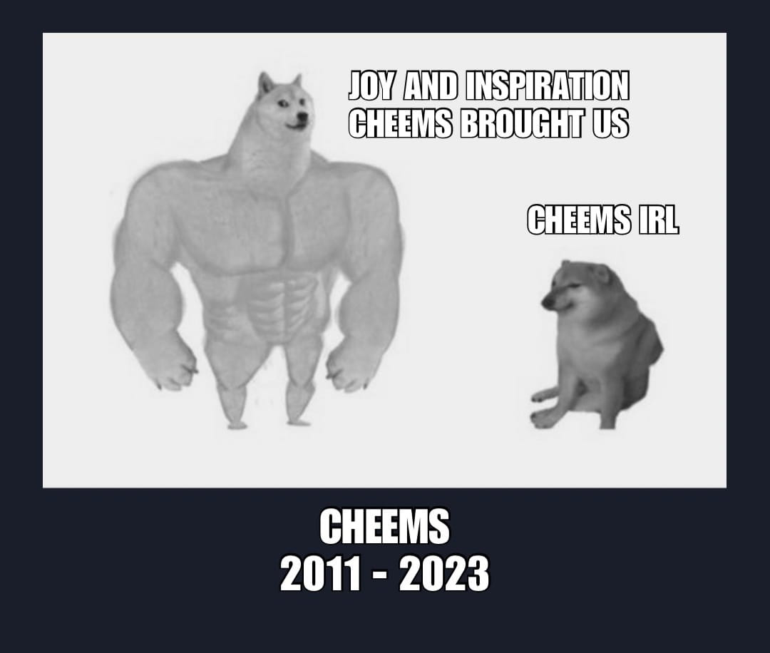 R.I.P. Cheems 😭💔 Thank you for all the joy you brought to | Faruk ...