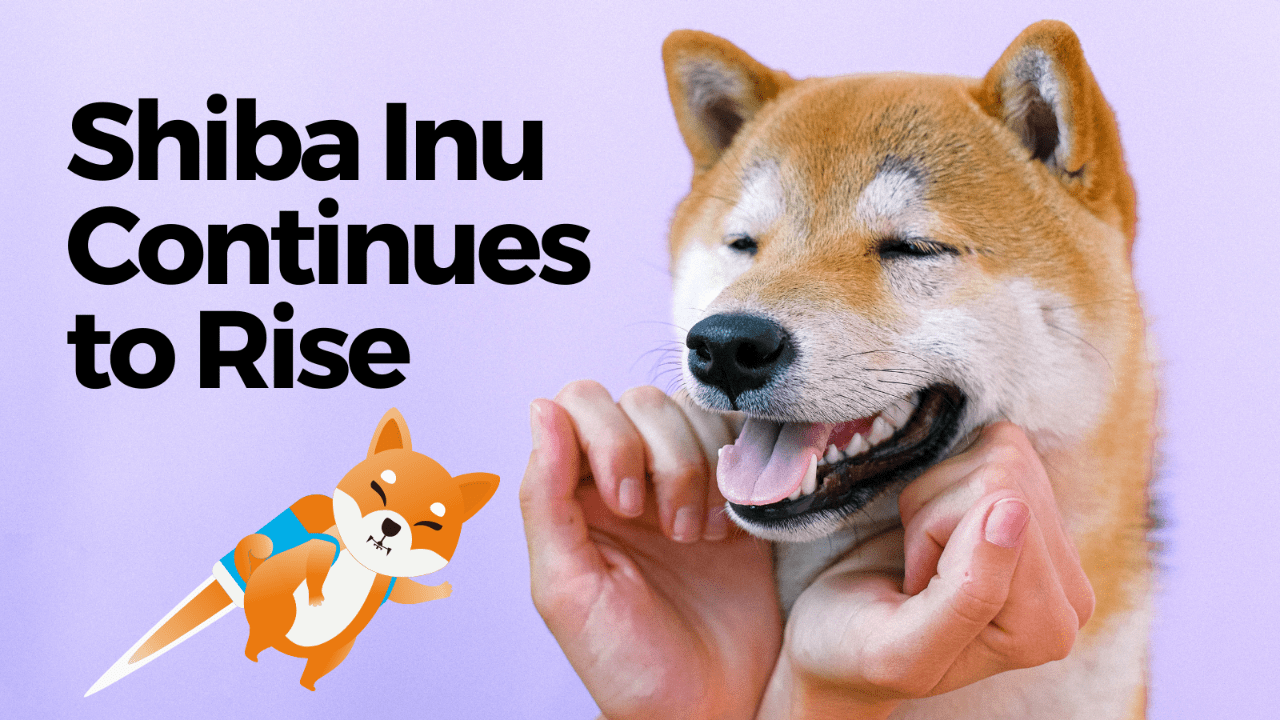 Shiba Inu (SHIB) Rises 13% in One Week | ilker Yıldız on Binance Square