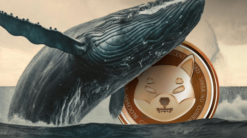 Massive Shiba Inu (SHIB) Whale Born After 4.6 Trillion Transfer | joelano_Dior on Binance Square