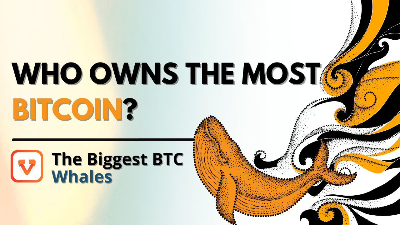 Who Owns The Most Bitcoin? | Vraig on Binance Square