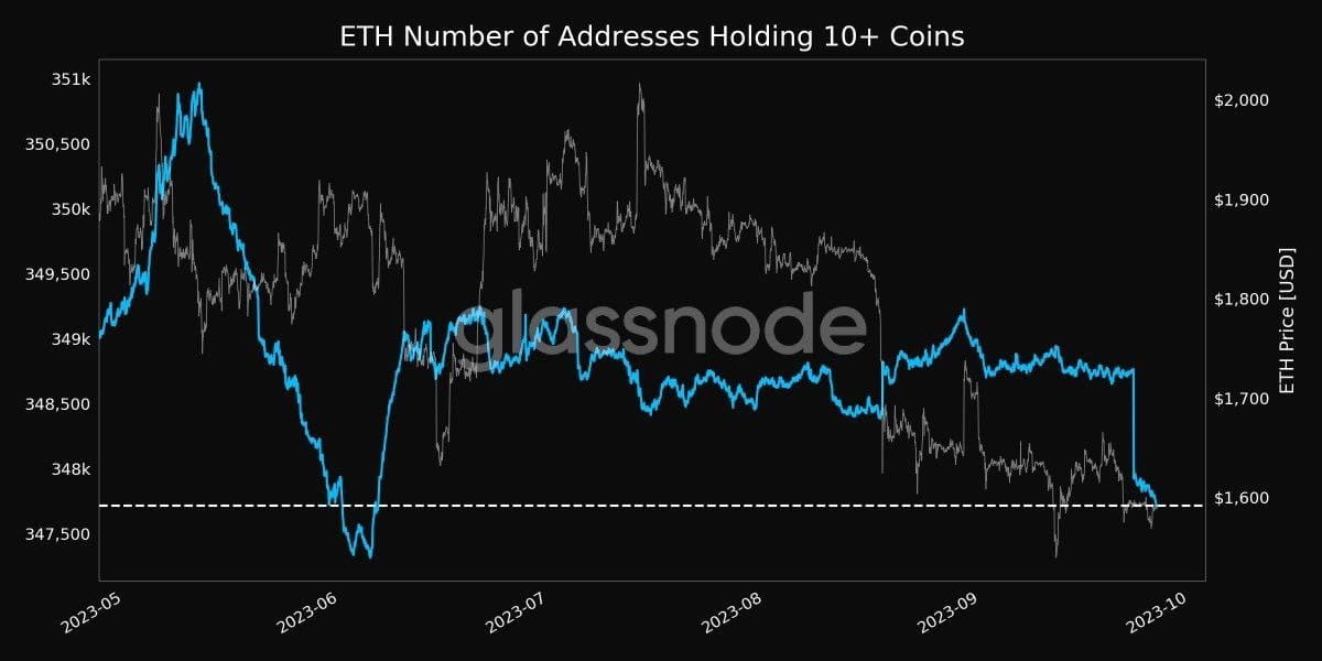🐟 ИНСАЙДЕРСКОЕ ОБНОВЛЕНИЕ #ETH Количество адресов, содержащ ...