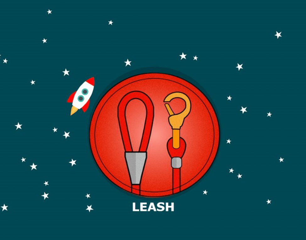 🔥 LEASH crypto: Key Benefits LEASH crypto, a popular token | The Buzzing Bee on Binance Square