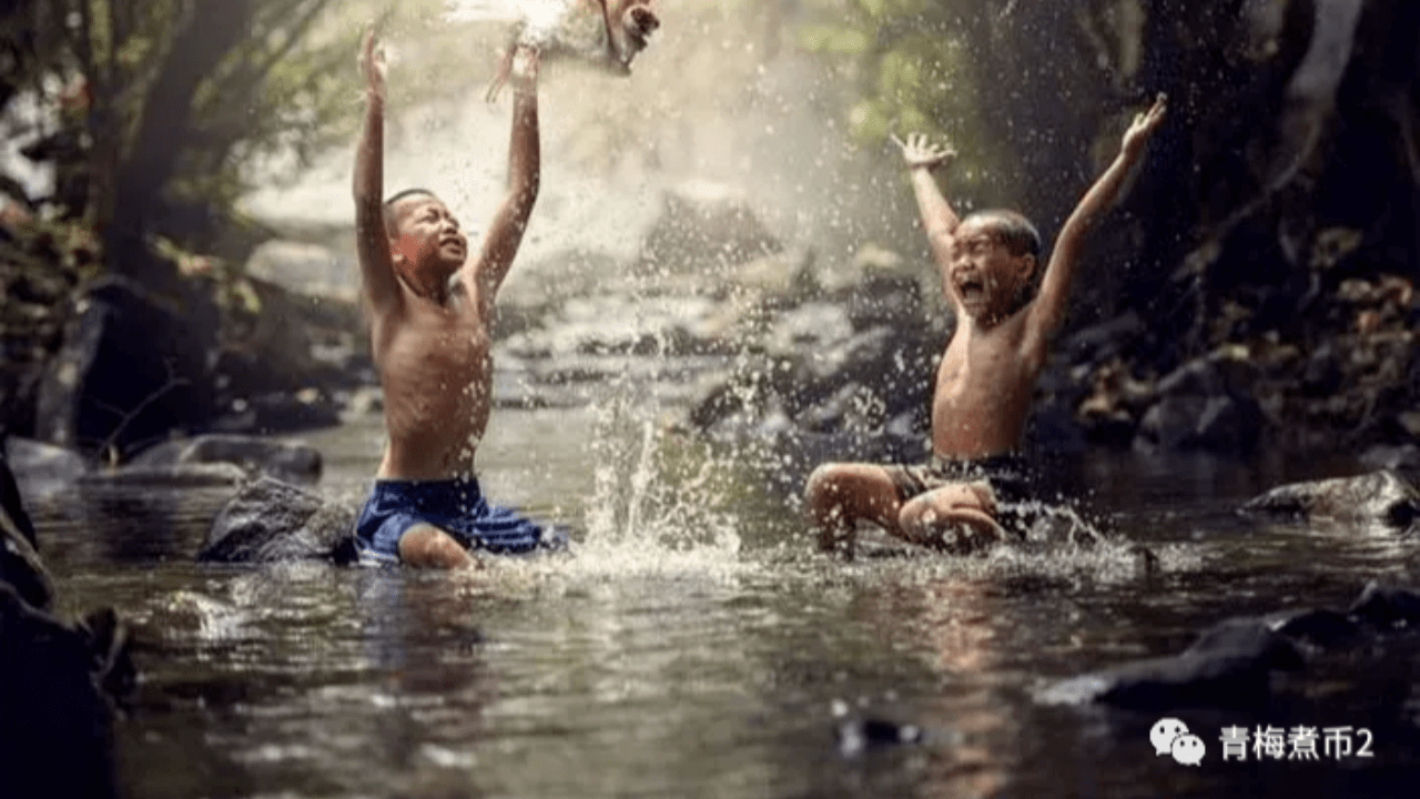 Green Plum Coin: Unreliable predictions about the bottom of Bitcoin ...