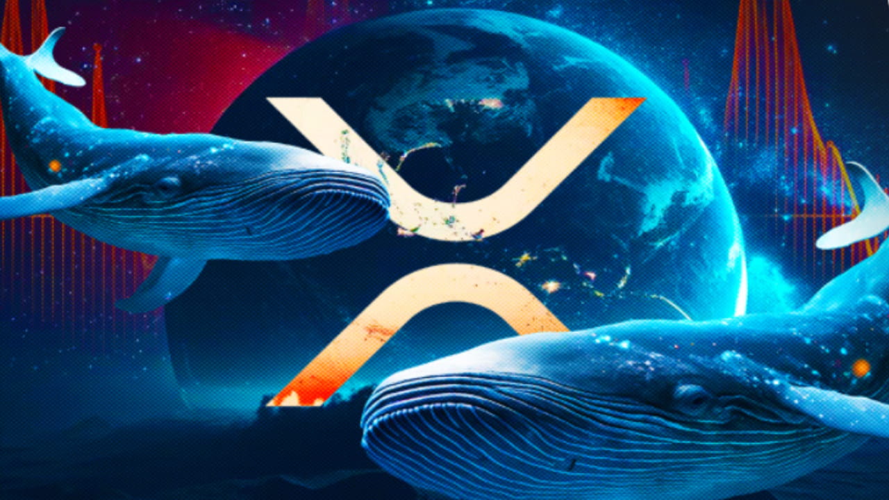 Whales Accumulate XRP and DOGE as Altcoins Gain Momentum | Crypto Prophet on Binance Square