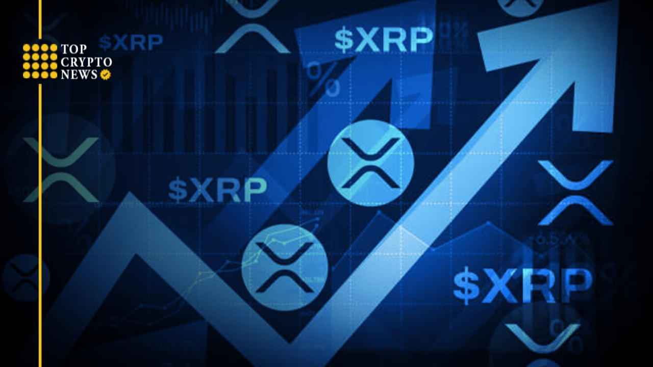 Pro-XRP Engineer Showcases XRP Efficiency in Cross-Border Payments in ...