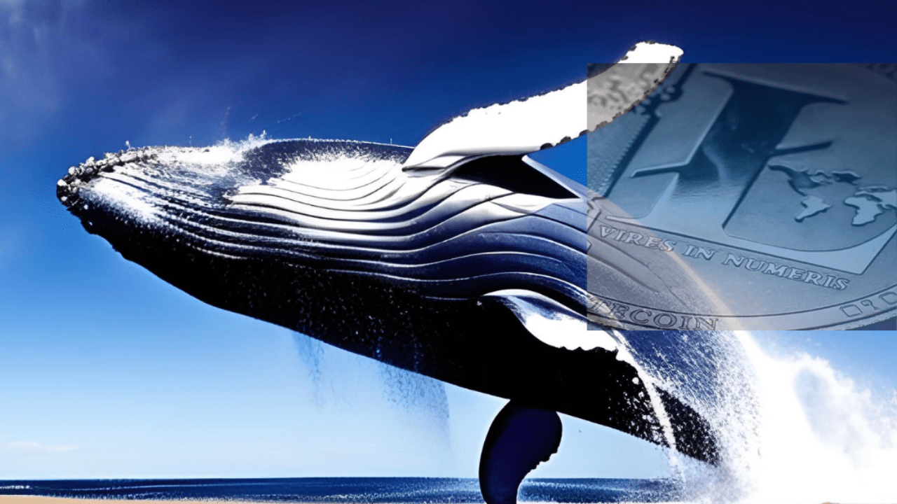 Litecoin Whales Sold Coins Worth $27M In August: Is LTC Price in Danger ...