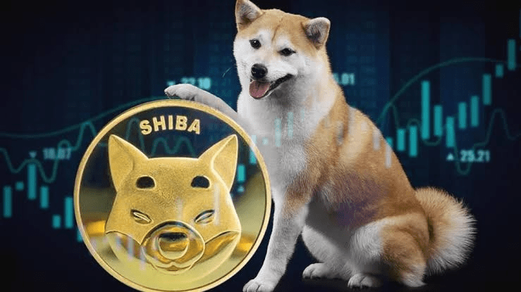 📊😱Machine learning algorithm determines SHIB price for October 1, 2023 | Crypto Ahmet on Binance ...